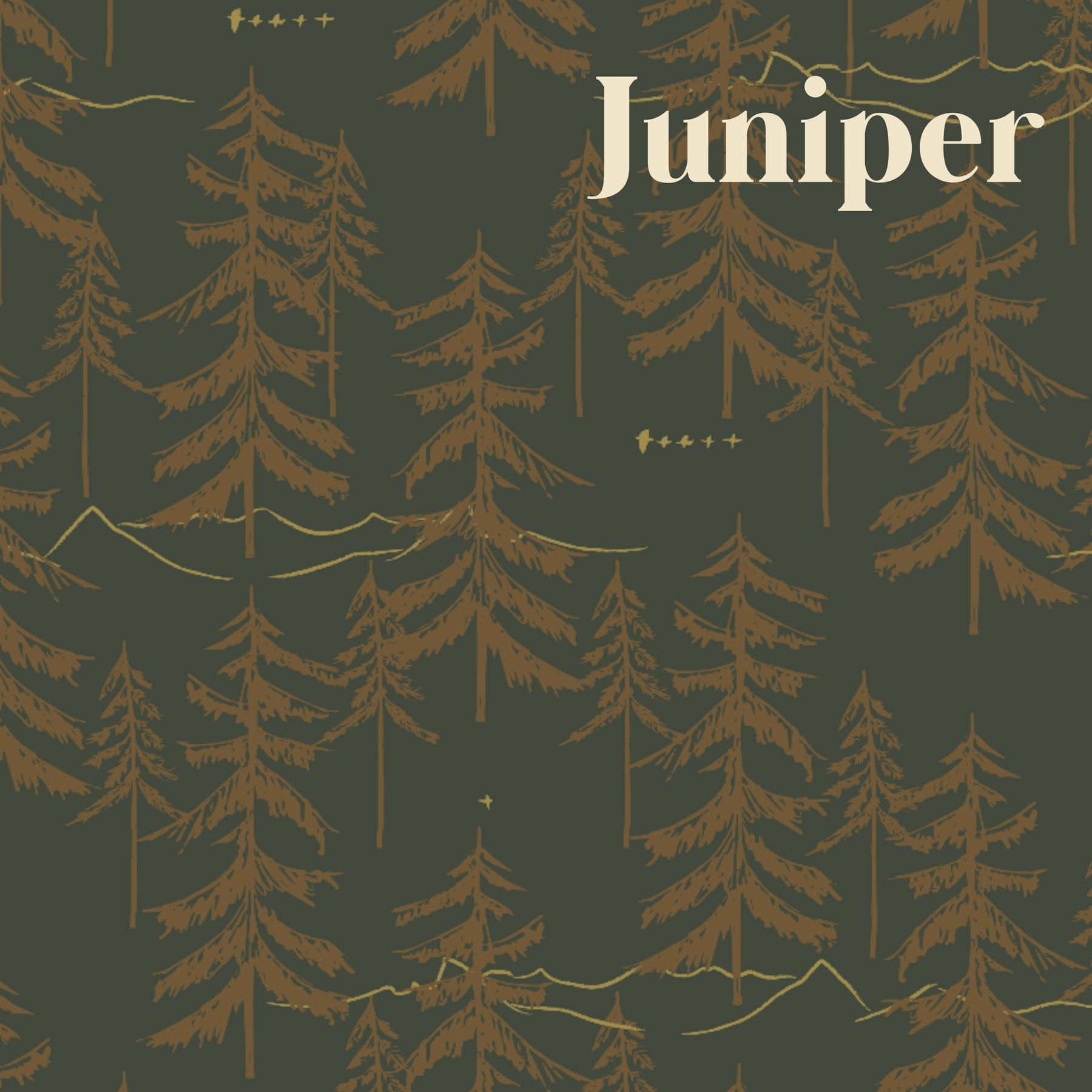 Cascade Wallpaper by Cassandra Zaniboni – Loomwell Home Goods